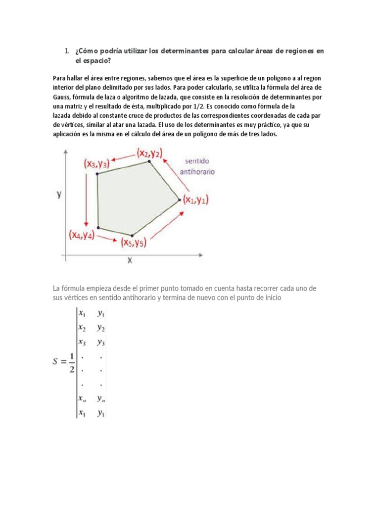 Actividad Algebra Lineal | PDF