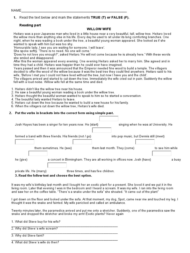 The Willow Wife: Document Analysis and Comprehension Check | PDF