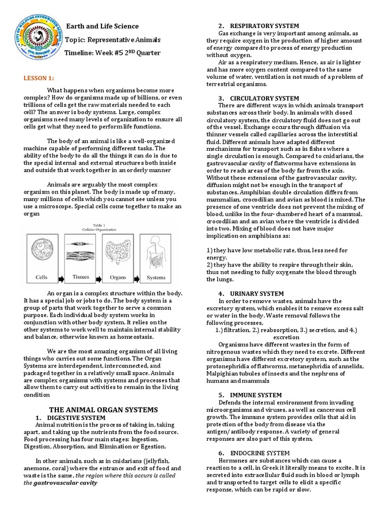 q2w5 - Representative Animals | PDF | Reproduction | Sex