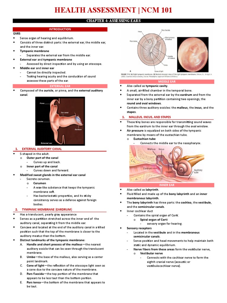 Assessing Ears | PDF | Ear | Hearing