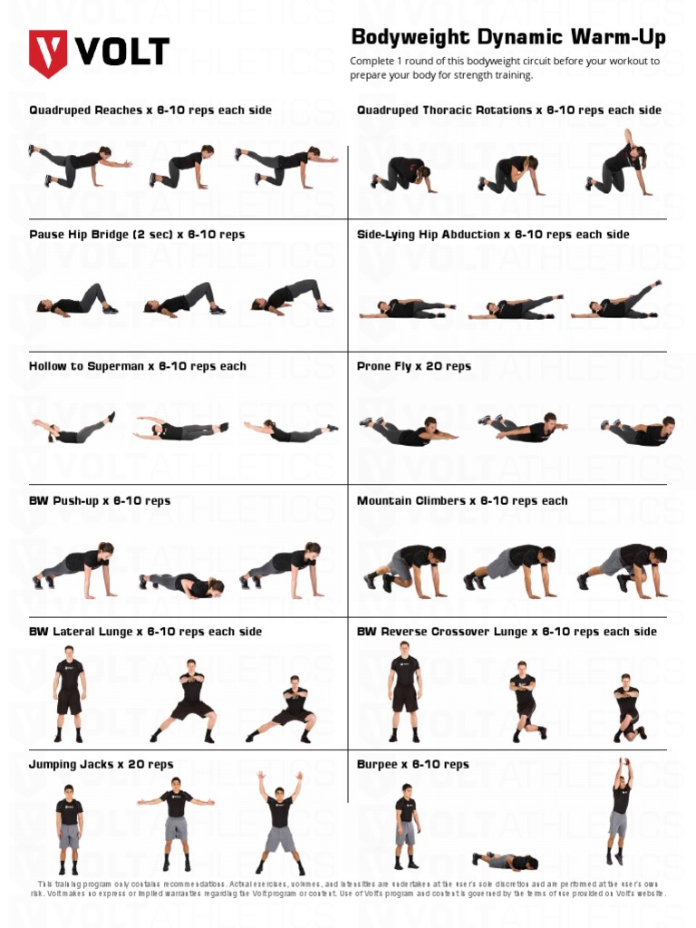 Dynamic Warm Up | PDF