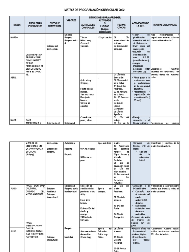 Matriz Curricular 2022: Enfoques y Actividades | PDF