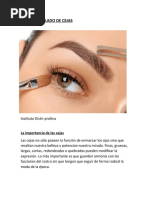 Plantillas de Cejas para Imprimir | PDF