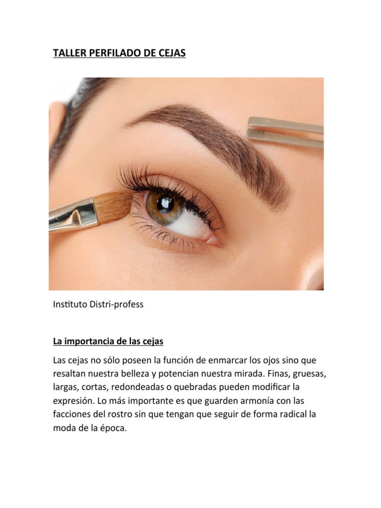 Cejas | PDF | Ceja