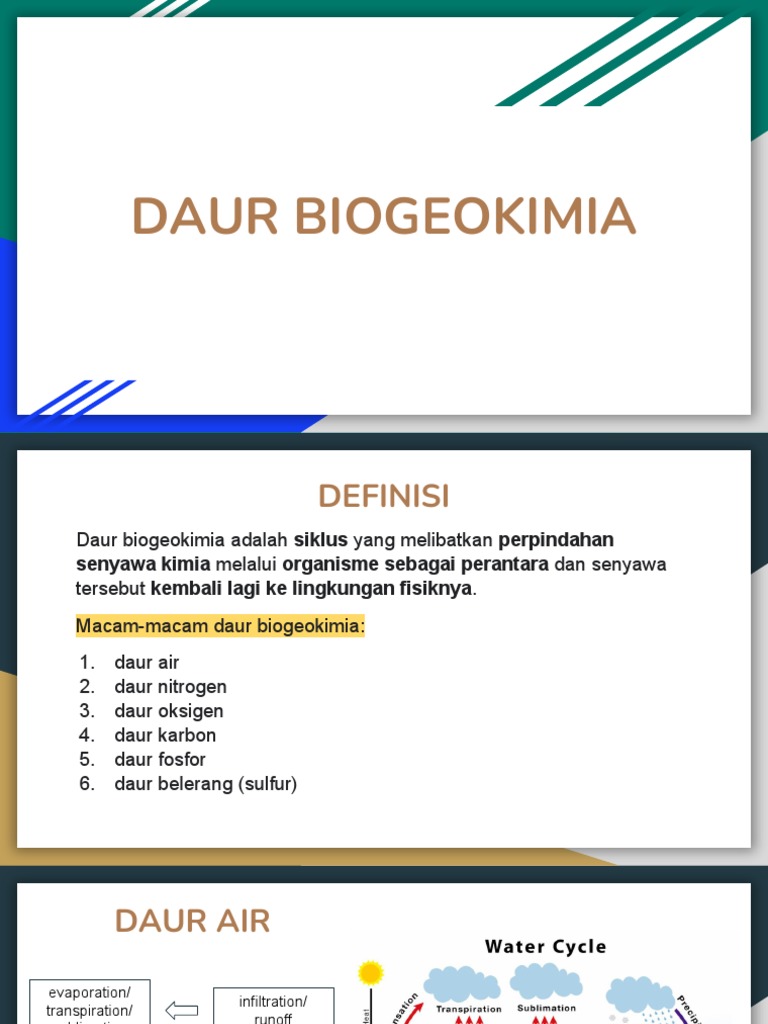 Daur Biogeokimia | PDF