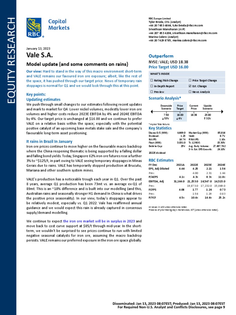 Vale SA | PDF | Financial Analyst | Balance Sheet
