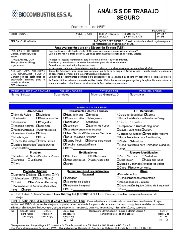 Formato Ats | PDF | Andamio | Factores humanos y ergonomía