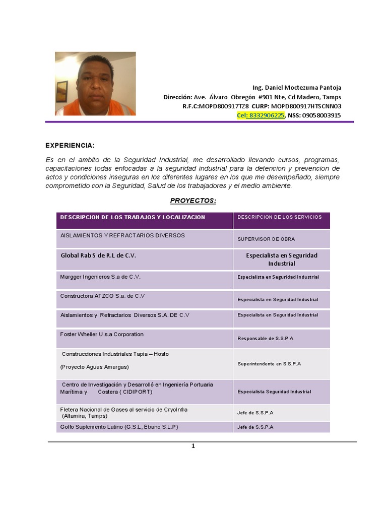 Daniel Moctezuma C.V PDF | PDF | Ingeniería | Ciencias fisicas