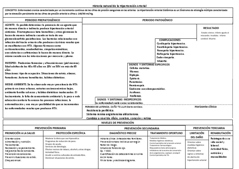 Historia Natural de La Hipertension Arterial PDF | PDF | Hipertensión ... Historia Natural de La Hipertension Arterial PDF | PDF | Hipertensión ...