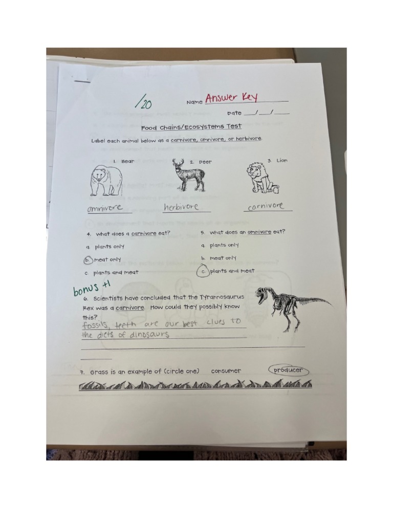 Unit Test Answer Key | PDF