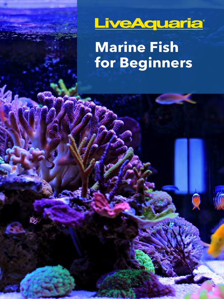 Marine Fish For Beginners Ebook | PDF | Aquarium | Fishkeeping