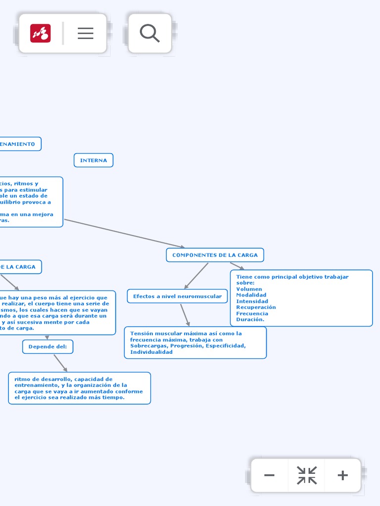 CARGAS DE ENTRENAMIENTO - Concept Map 3 | PDF