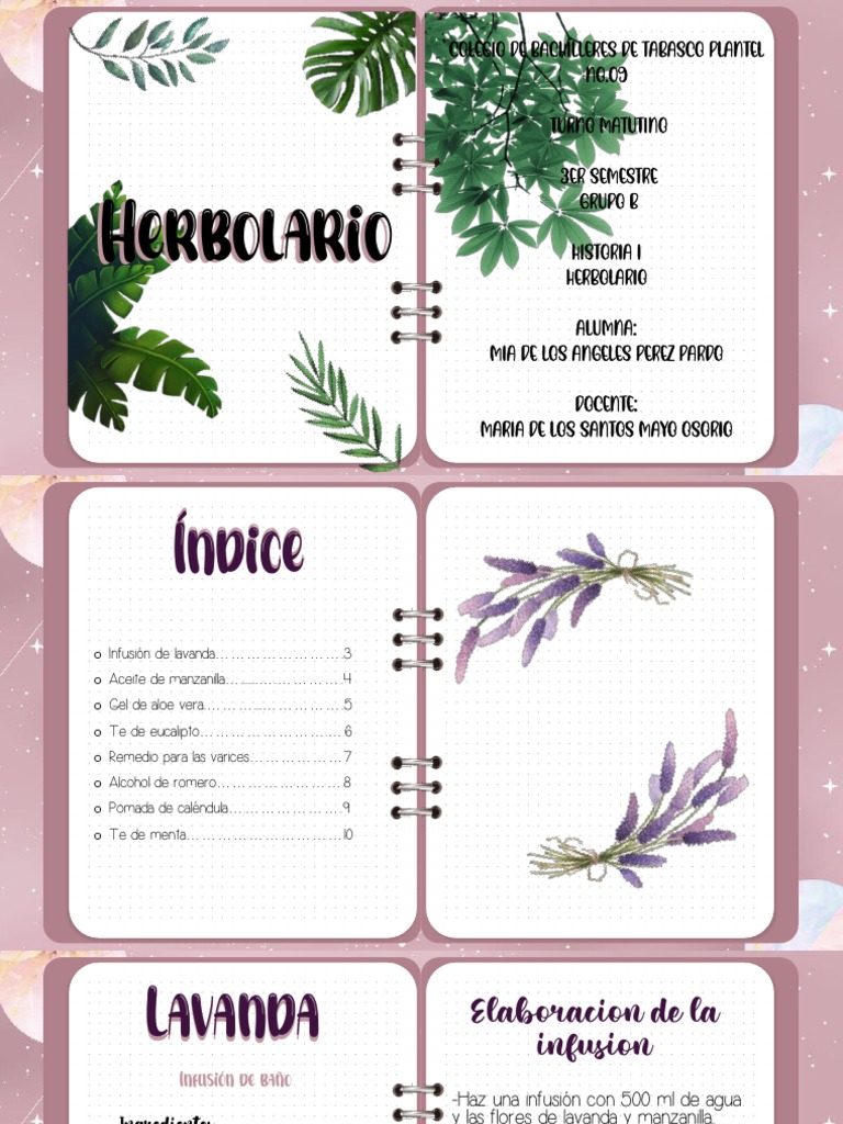 Herbolario | PDF | Aceite de oliva | Té