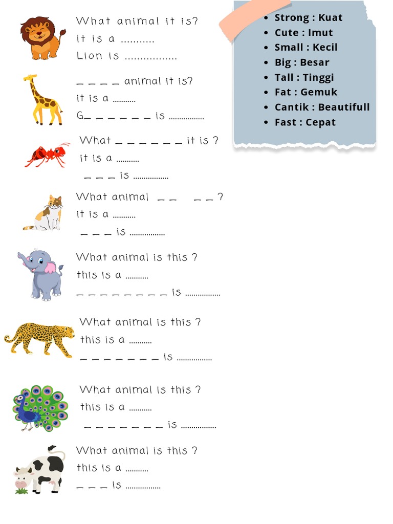 Animal Worksheet | PDF | Mammals | Organisms