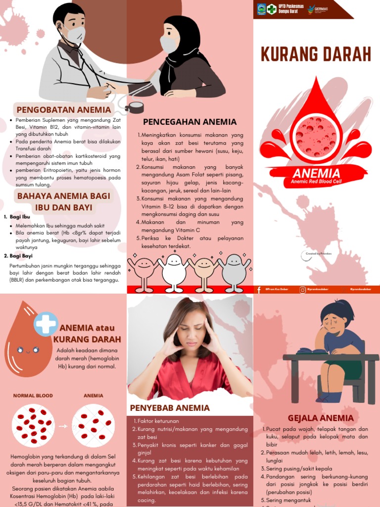 Leaflet Anemia | PDF