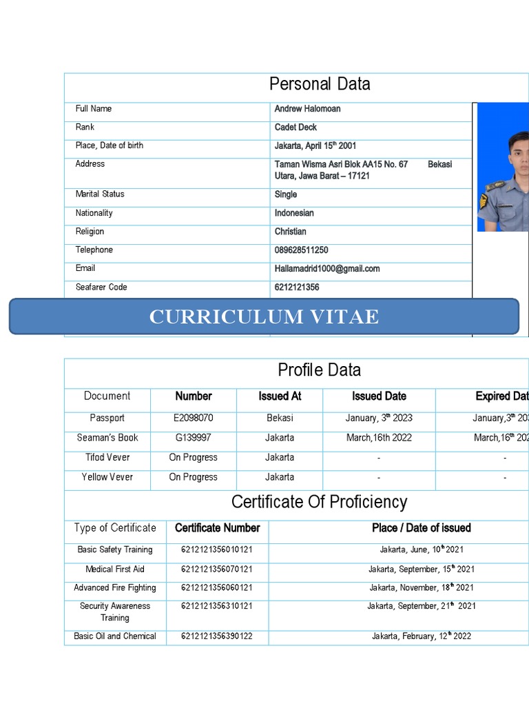 CV Andrew Halomoan AMC | PDF