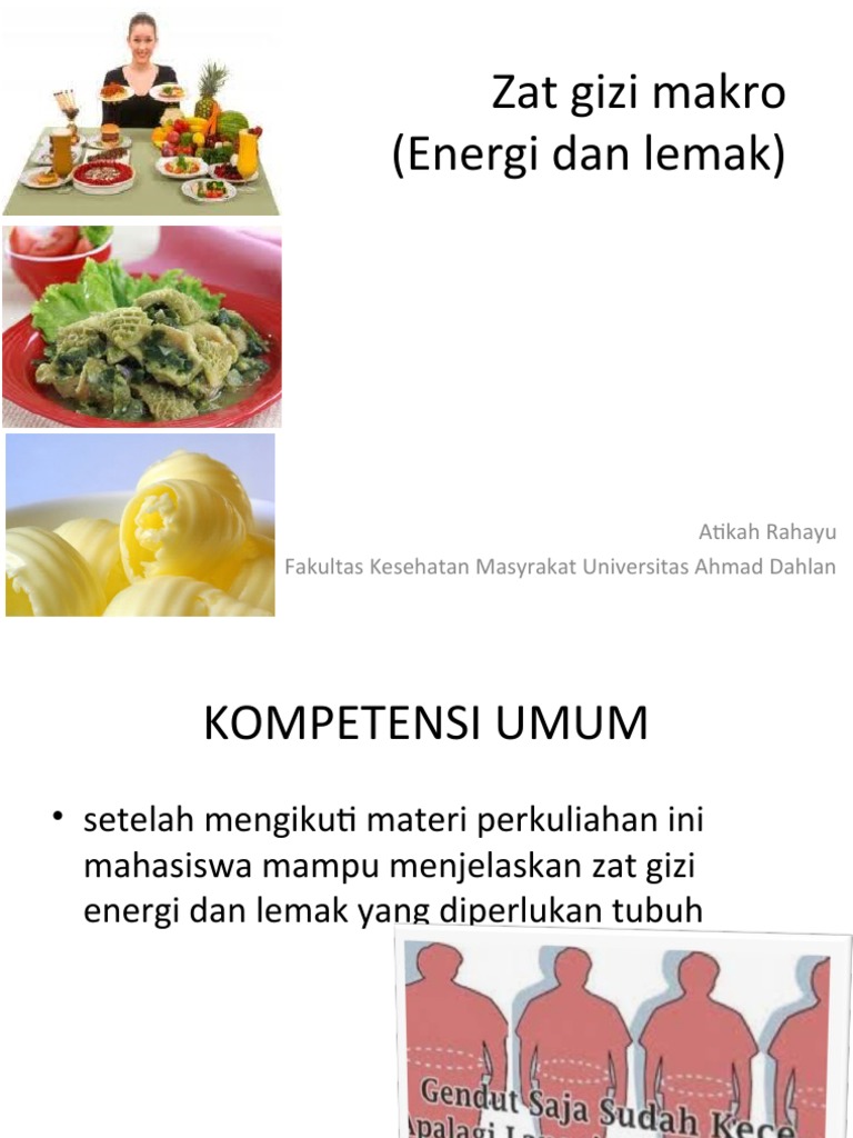 Zat gizi makro (ENERGI DAN LEMAK) | PDF