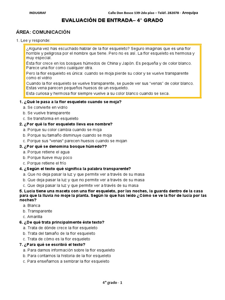 4° Grado - Evaluación Entrada | PDF | Digestión | Pulmón