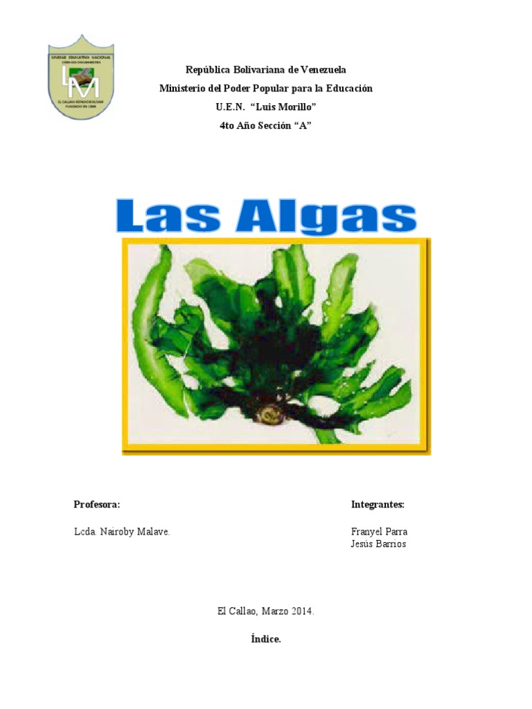 Las Algas | PDF | Algas | Plantas