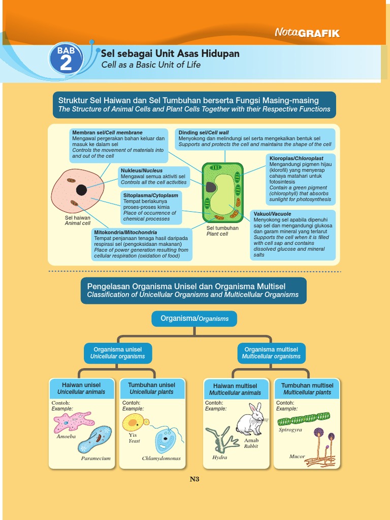 011 Nota Grafik Bab 2 | Download Free PDF | Cell (Biology) | Anatomy