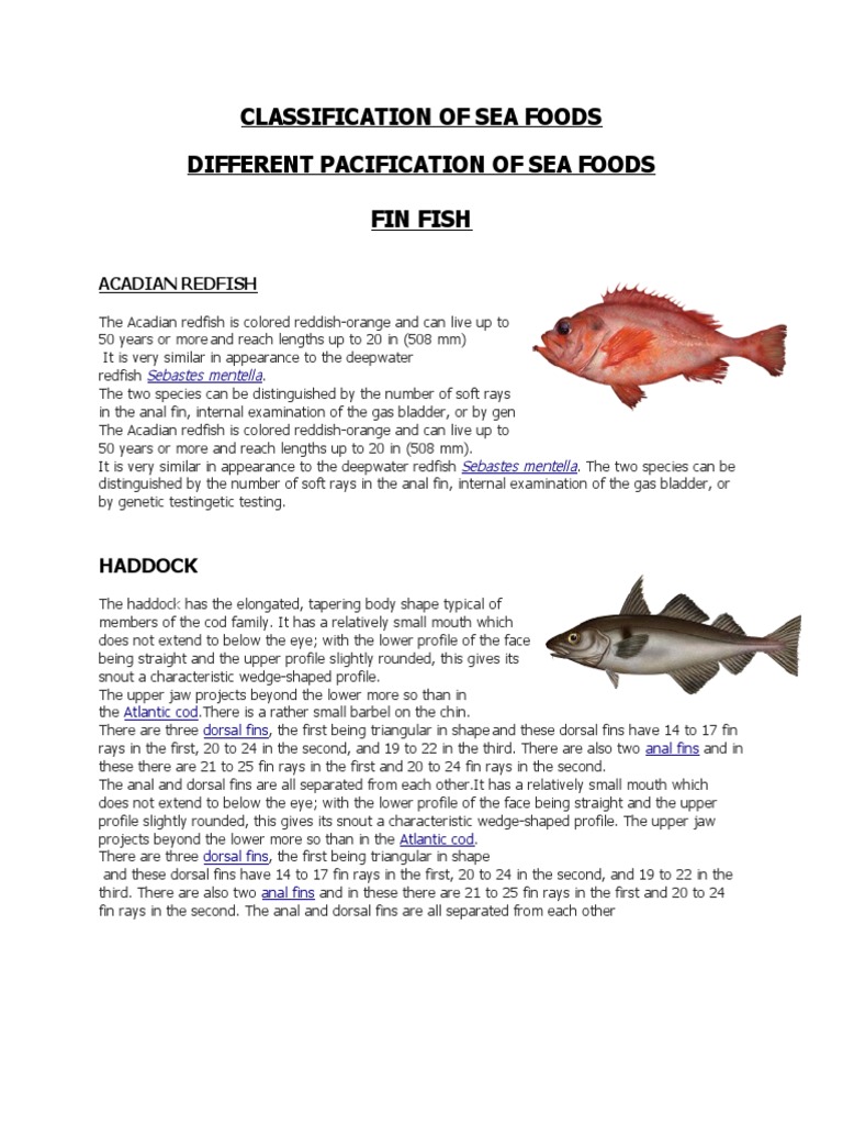 Seafood Classification Overview | PDF | Fish