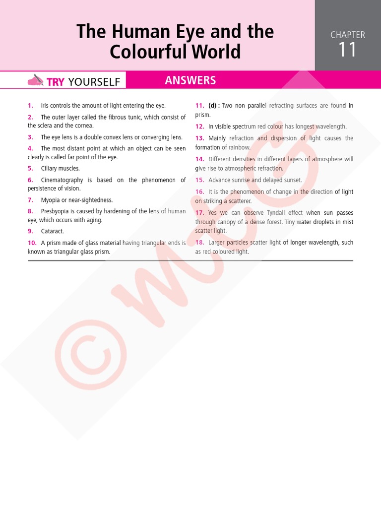 100per Science cl10 Ty ch11 | PDF