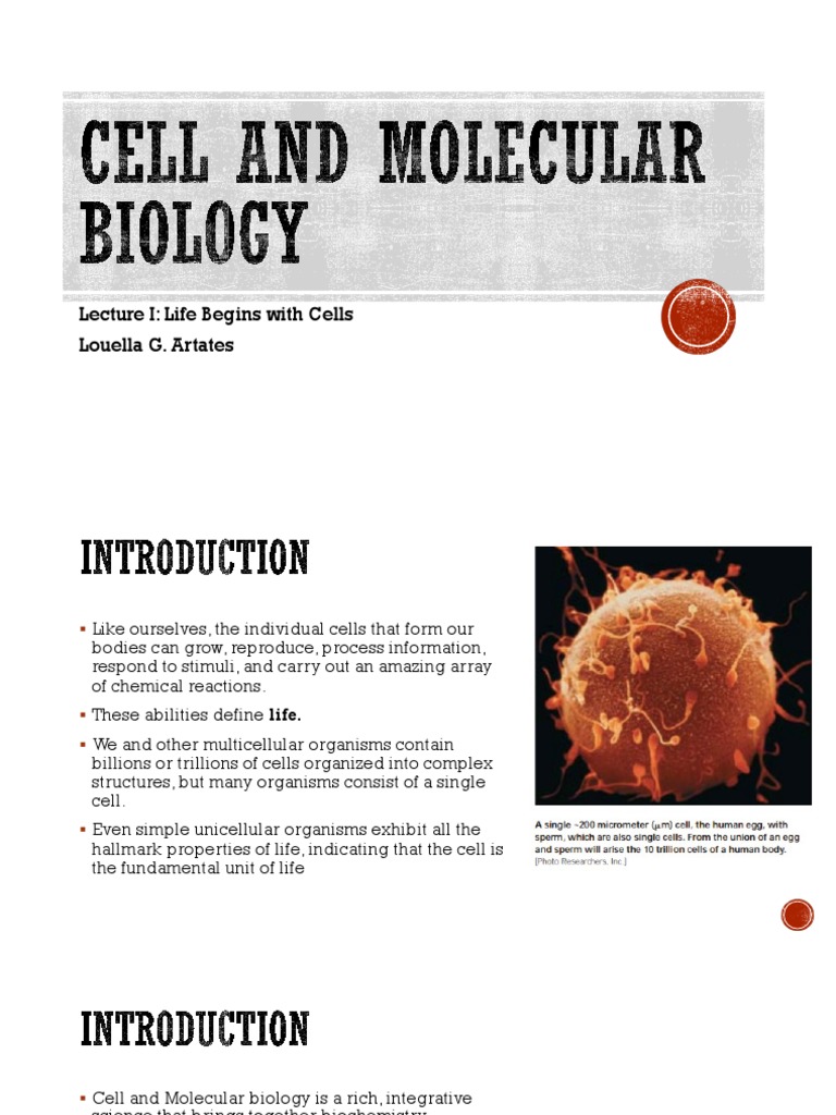 Lecture 1 Cell and Molecular Biology Intro | PDF | Cell (Biology ...
