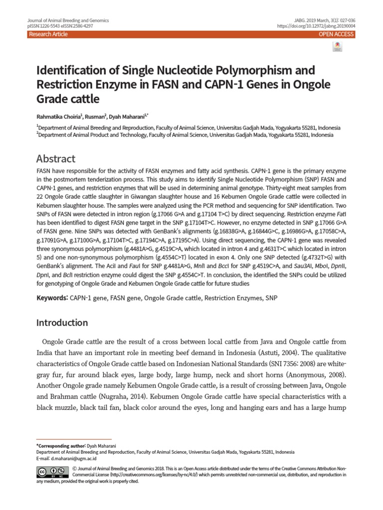 Kumpulan Paper Peternakan | PDF | Single Nucleotide Polymorphism | Polymerase Chain Reaction