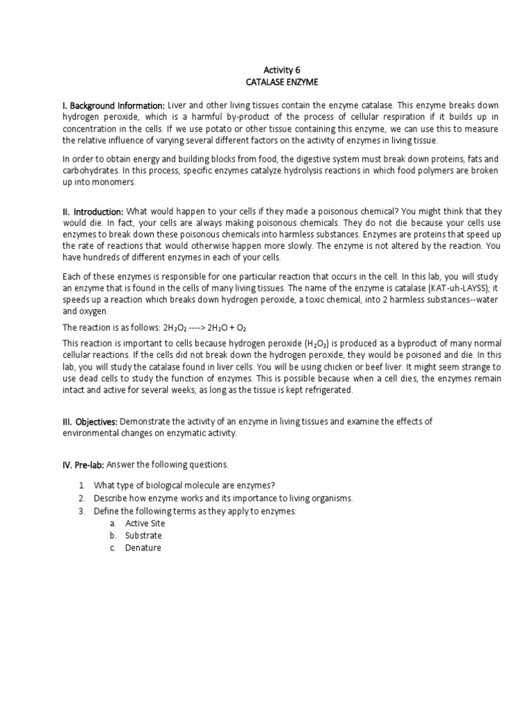 Activity 6. Catalase Enzyme | PDF | Catalase | Enzyme