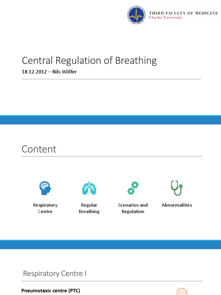 Regulation of Breathing | PDF