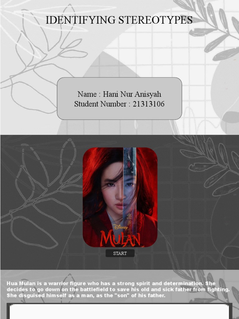 Identifying Stereotypes | PDF