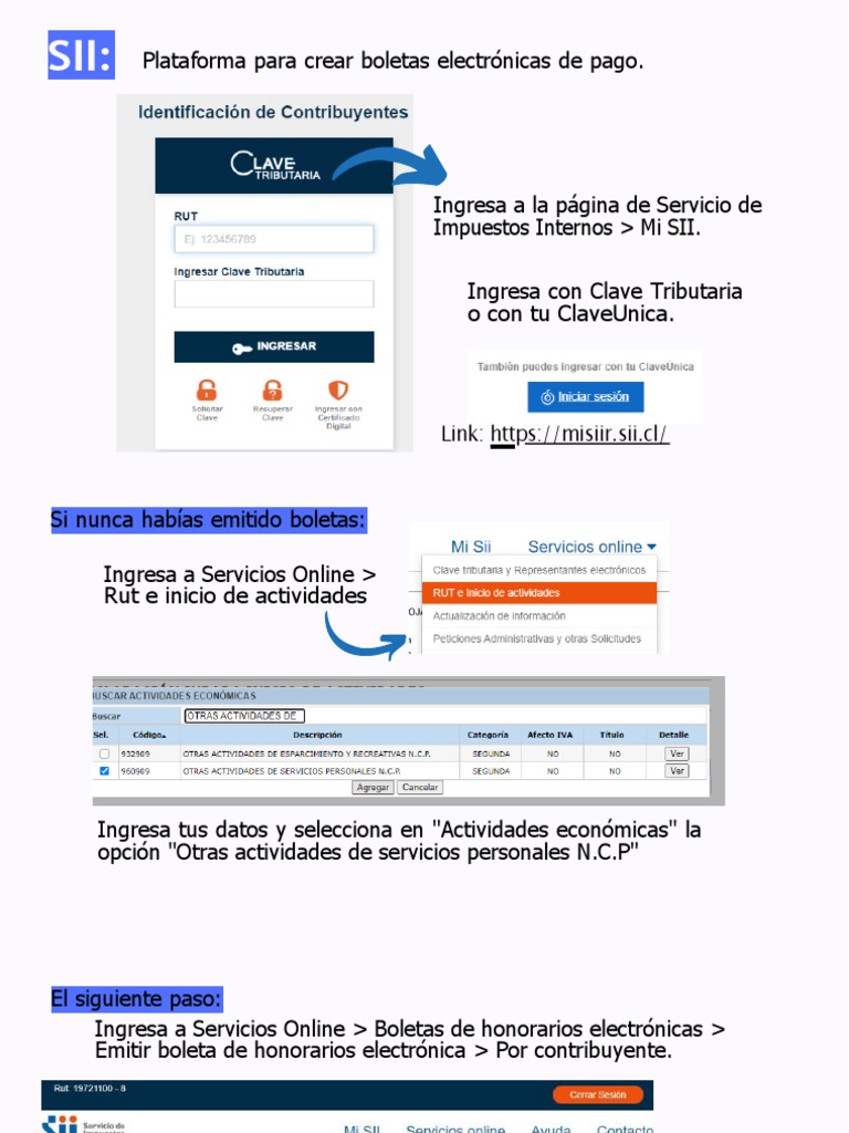 Ejemplo Emisión Boletas PDF | PDF