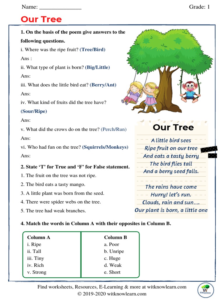 Our Tree Class 1 Worksheet 0 2021 04 04 125201 PDF | PDF | Trees | Botany