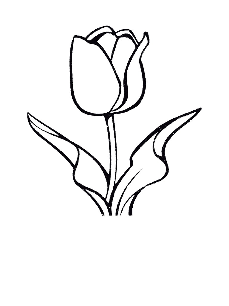 Lalea de Colorat | PDF