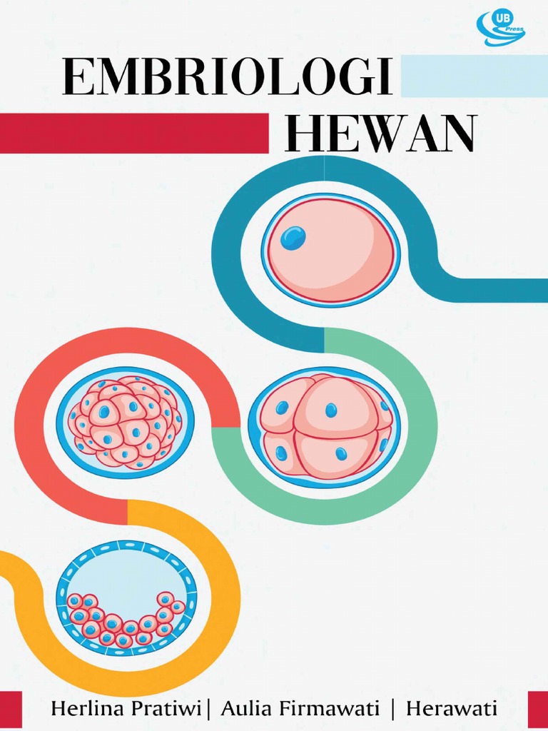 Embriologi Hewan PDF | PDF