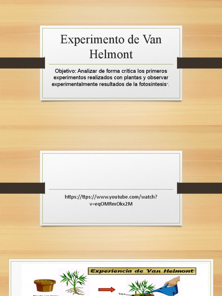 Experimento de Van Helmont | PDF | Tecnología