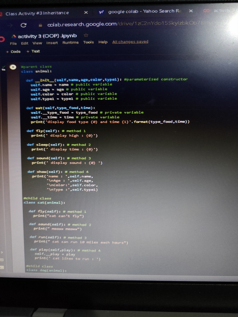 OOP Class Activity 3 PDF | PDF