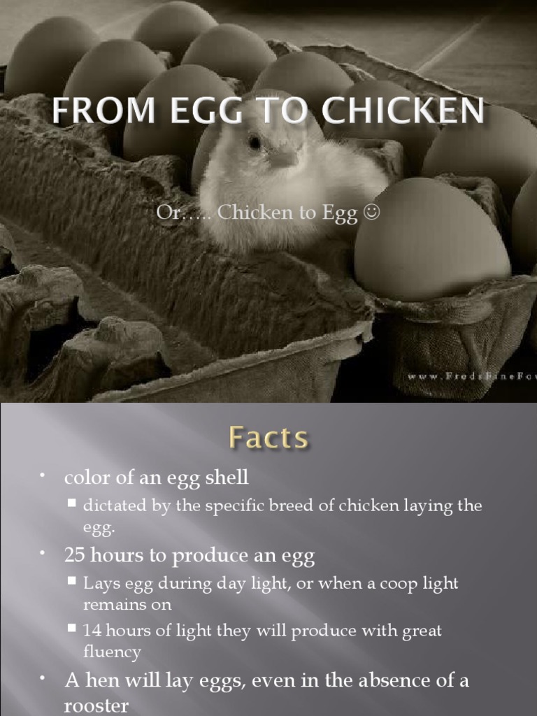 Chicken Egg Incubation Guide | PDF | Science & Mathematics