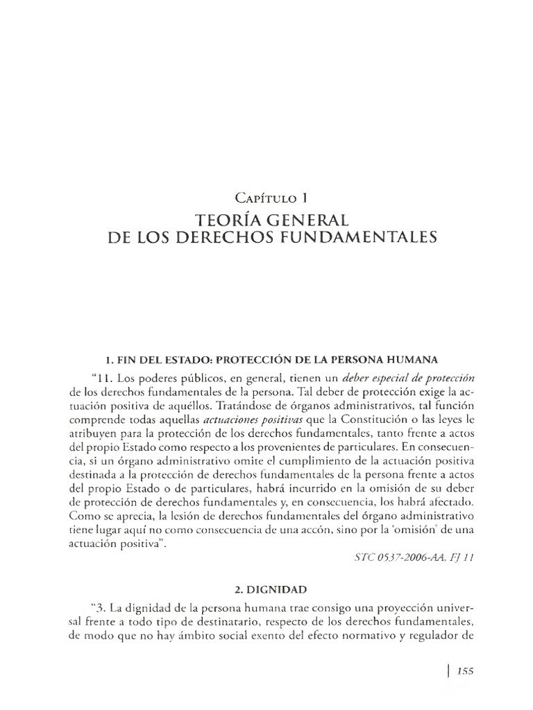 Teoría General de Los Derechos Fundamentales. Cesar Landa. | PDF