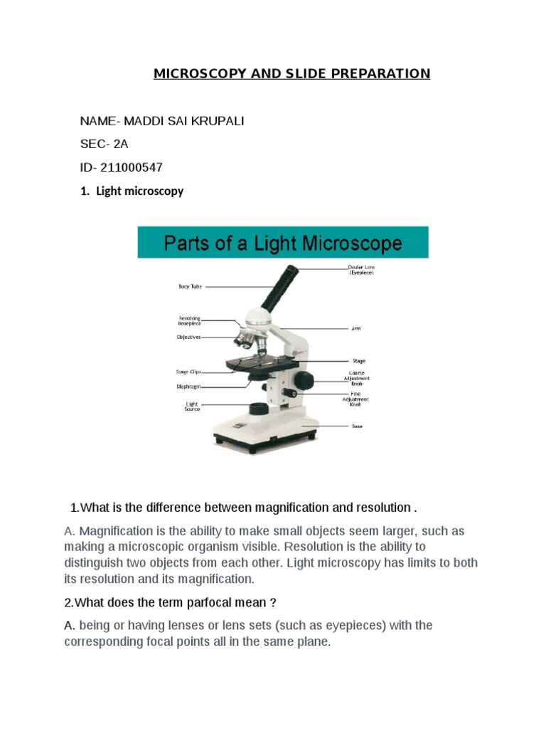 Activity 1 Microscopy and Slide Preparationmaddi | PDF | Microscopy | Microscope