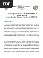 Rice Morphology and Growth Stages Guide | PDF | Rice | Seedling