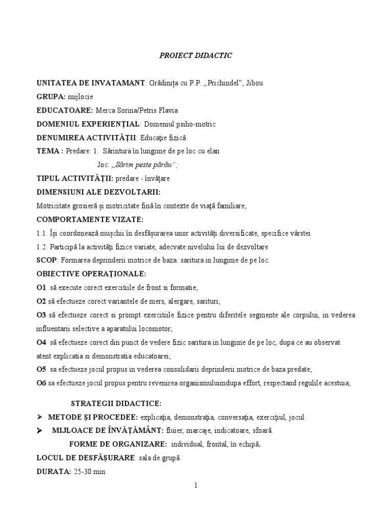 0 Proiect Didactic DPM | PDF