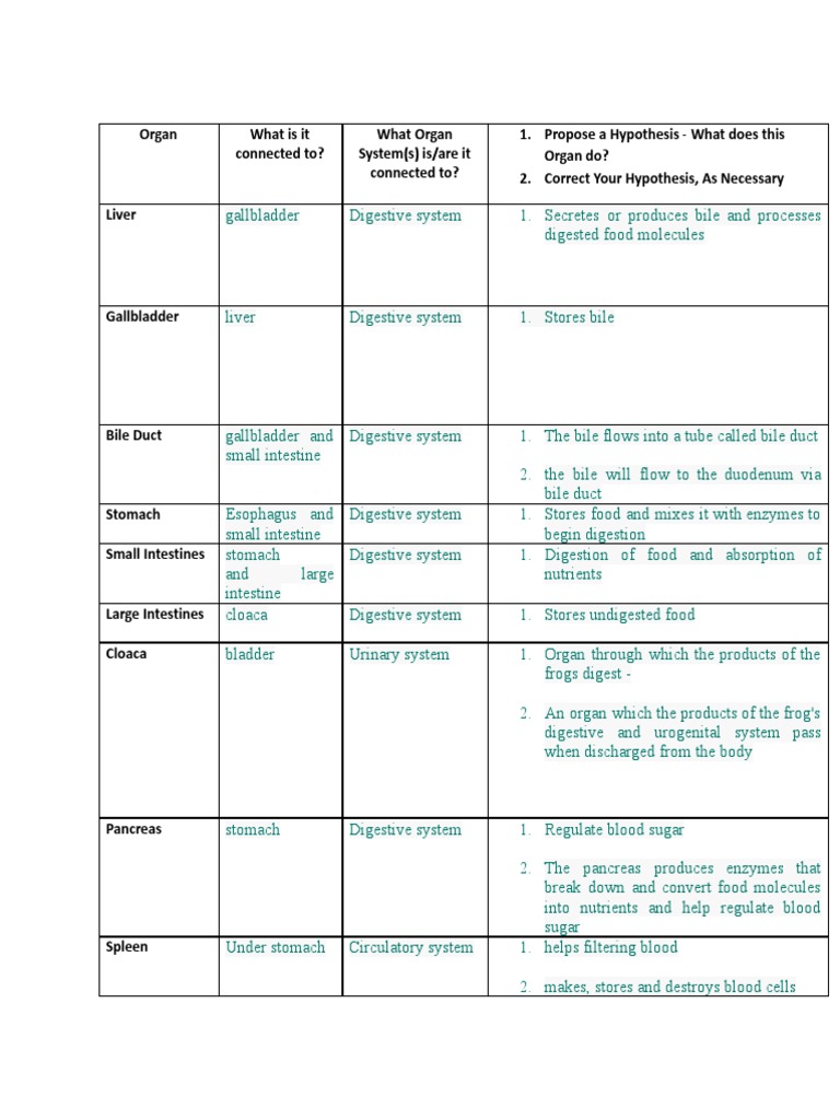 Frog Dissection - Lab Notes | PDF | Gastrointestinal Tract | Small ...