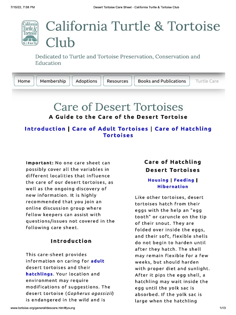 A Guide To The Care of The Desert Tortoise | PDF