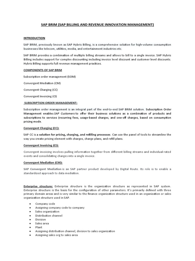 Sap Brim Overview | PDF | Subscription Business Model | Product (Business)