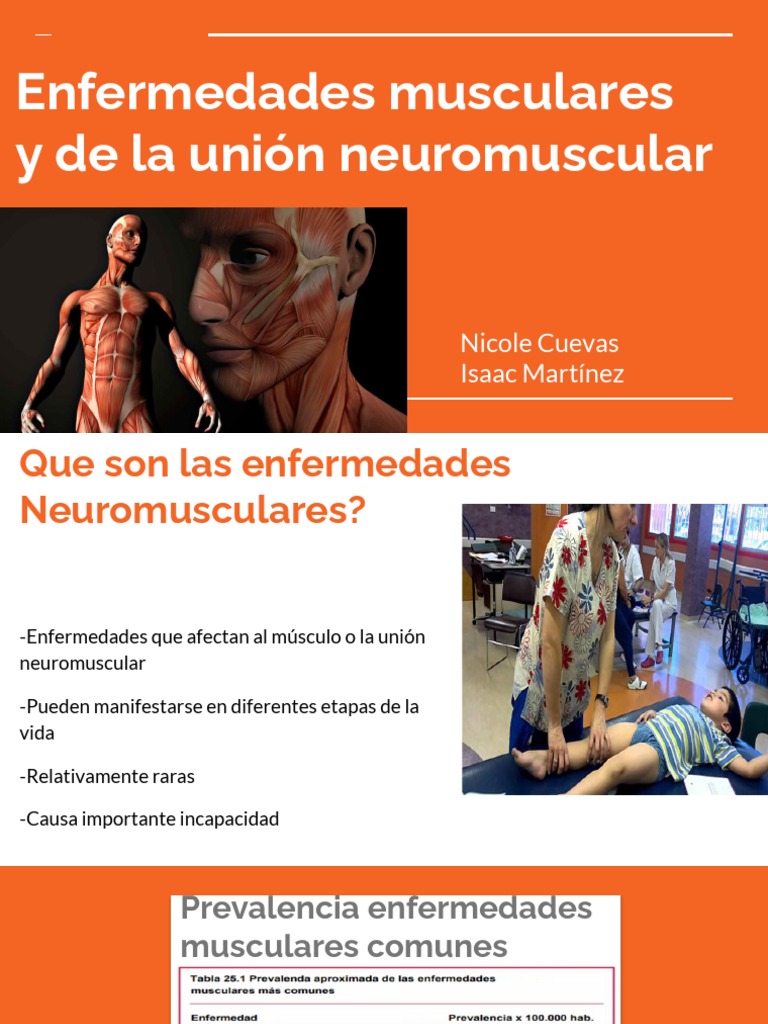 Enfermedades Musculares y de La Unión Neuromuscular | PDF | Distrofia ...