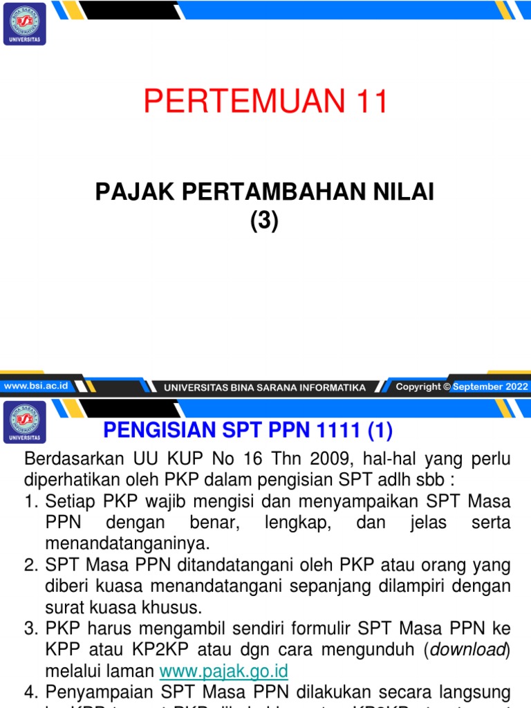 Panduan Pengisian SPT PPN 1111 | PDF