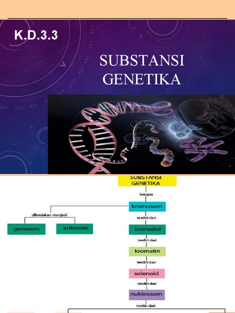 Mempelajari Dasar-Dasar Genetika | PDF