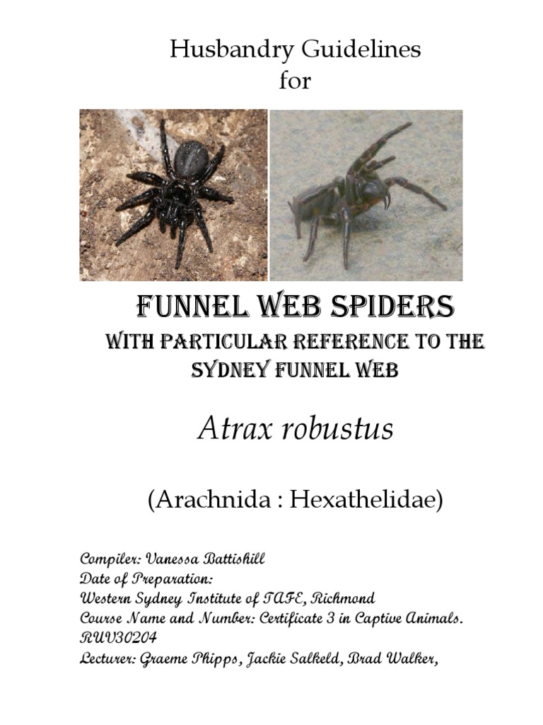 Atrax Robustus | PDF | Spider