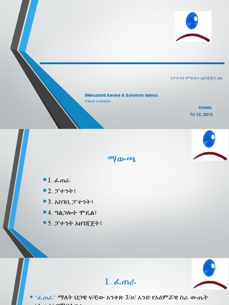 Patent Examination EIAR | PDF